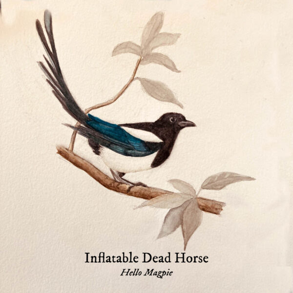 Inflatable Dead Horse : nouvel album, second extrait clippé | New Noise ...
